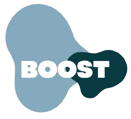 BOOST BDM